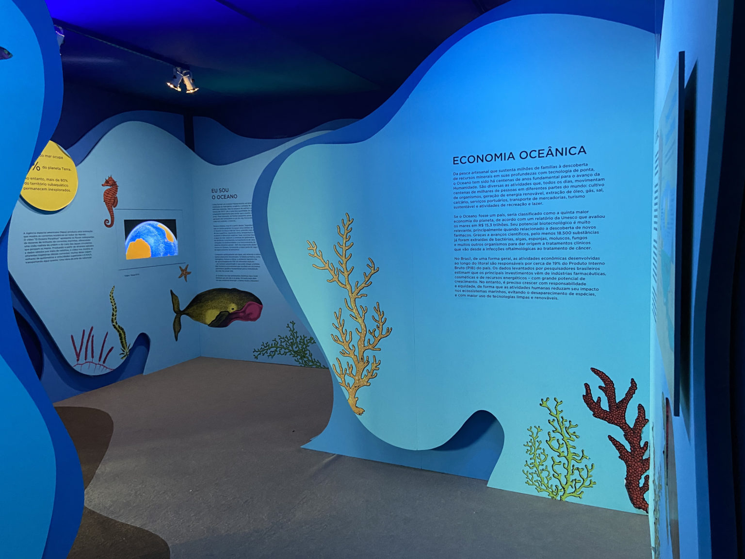 Exposição Oceano Sem Fronteiras - Grupo Cataratas